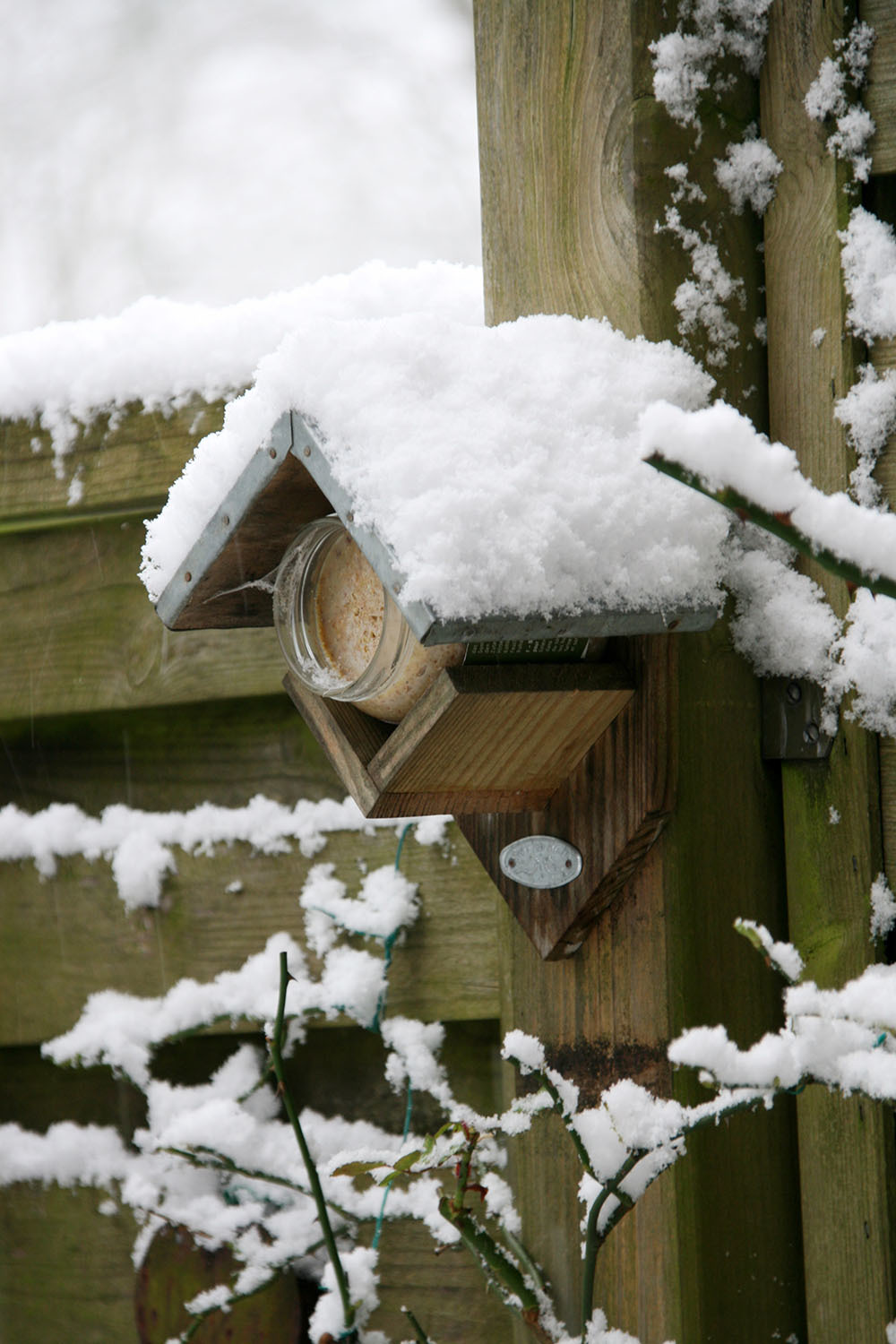 Winter food, nesting boxes and feeding systems for birds - Esschert Design