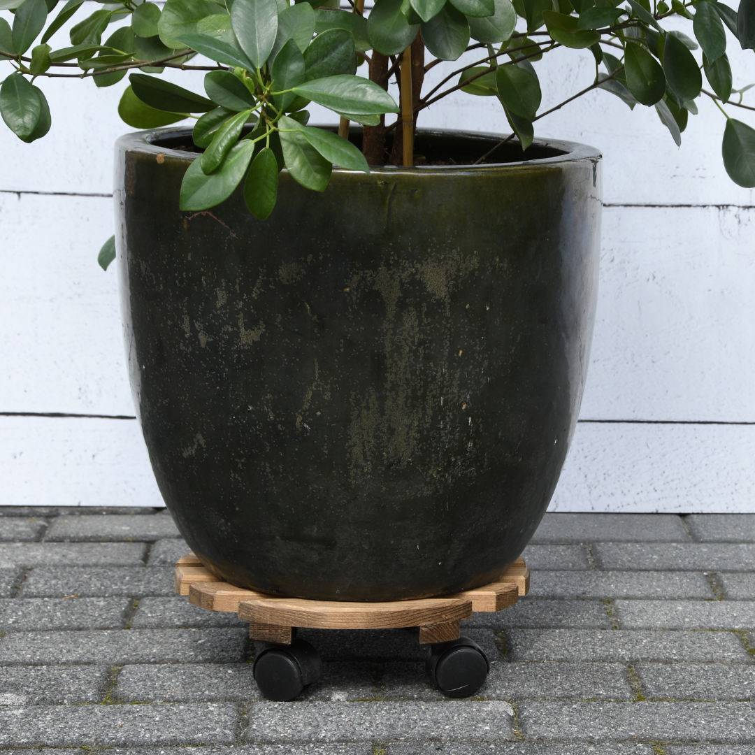 Plant trolleys made of wood and metal for moving and raising potted ...