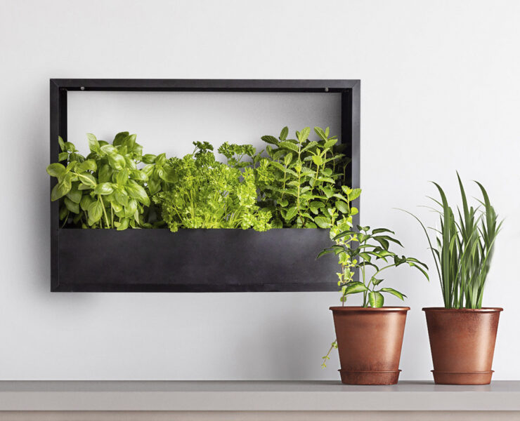 Homepage - Supplier of garden and nature related products - Esschert Design