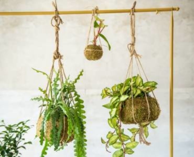 Homepage - Wholesale Garden and Nature - Esschert Design