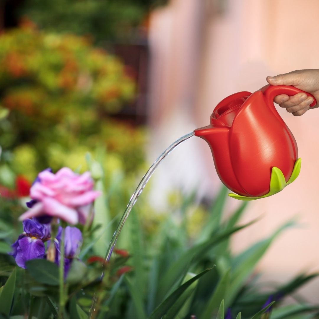 Decorative flower-shaped watering cans - Esschert Design