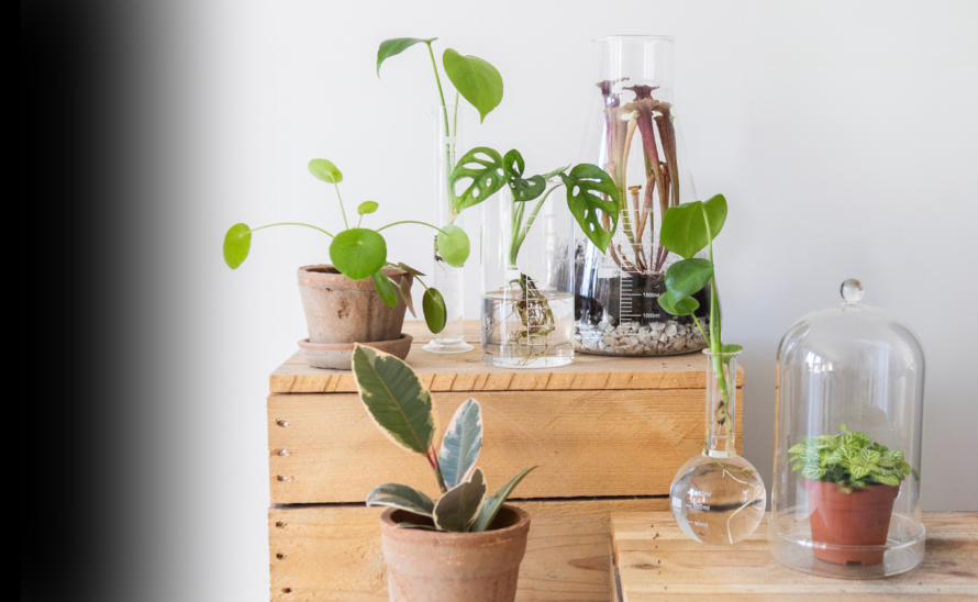 Homepage - Supplier of garden and nature related products - Esschert Design