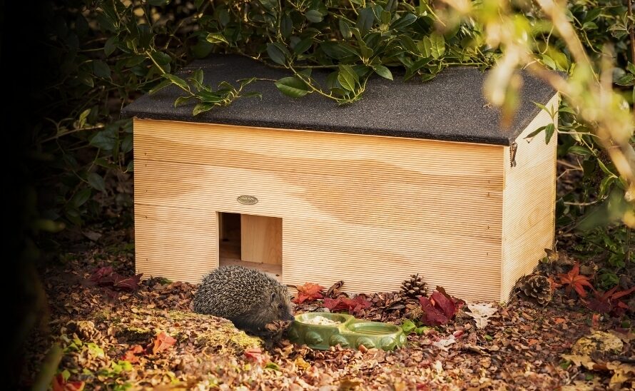 Homepage - Supplier of garden and nature related products - Esschert Design